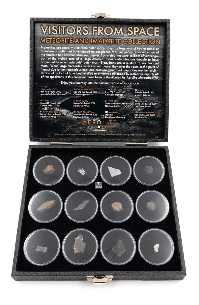 Twelve Piece Meteorite Collectible Set | The Space Store