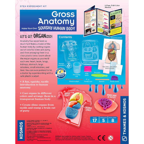 Gross Anatomy: Make Your Own Squishy Human Body | The Space Store
