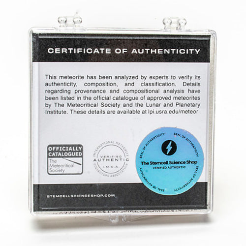 Meteorite NWA 7831 - .2g | The Space Store