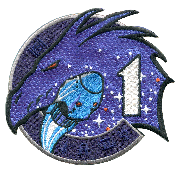 NASA Spacex Crew Dragon Mission One Crew-1 Patch | The Space Store